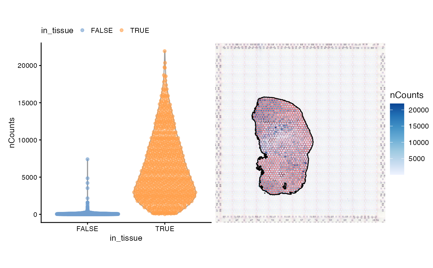 Basic Visium Exploratory Data Analysis • Voyager
