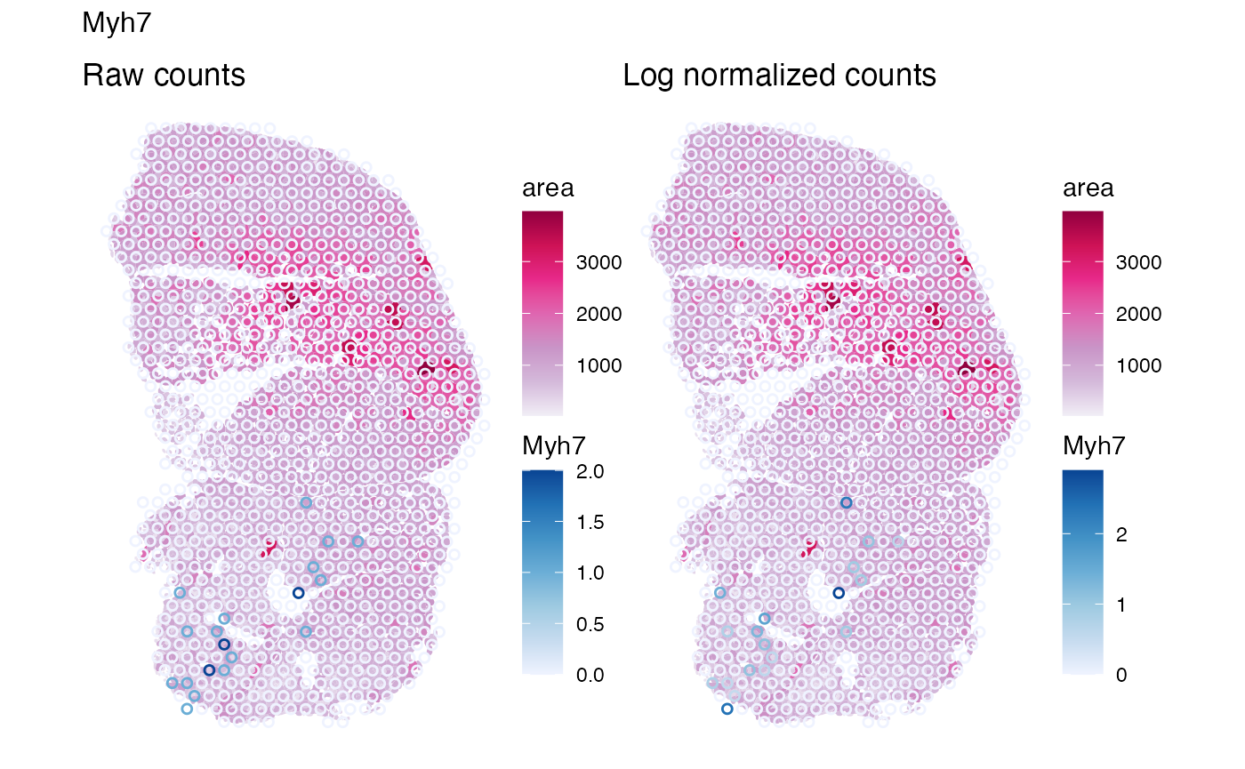 Spatial Visium exploratory data analysis • Voyager