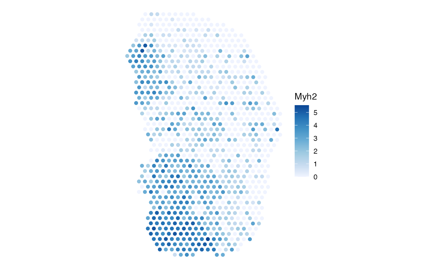 Spatial Visium exploratory data analysis • Voyager