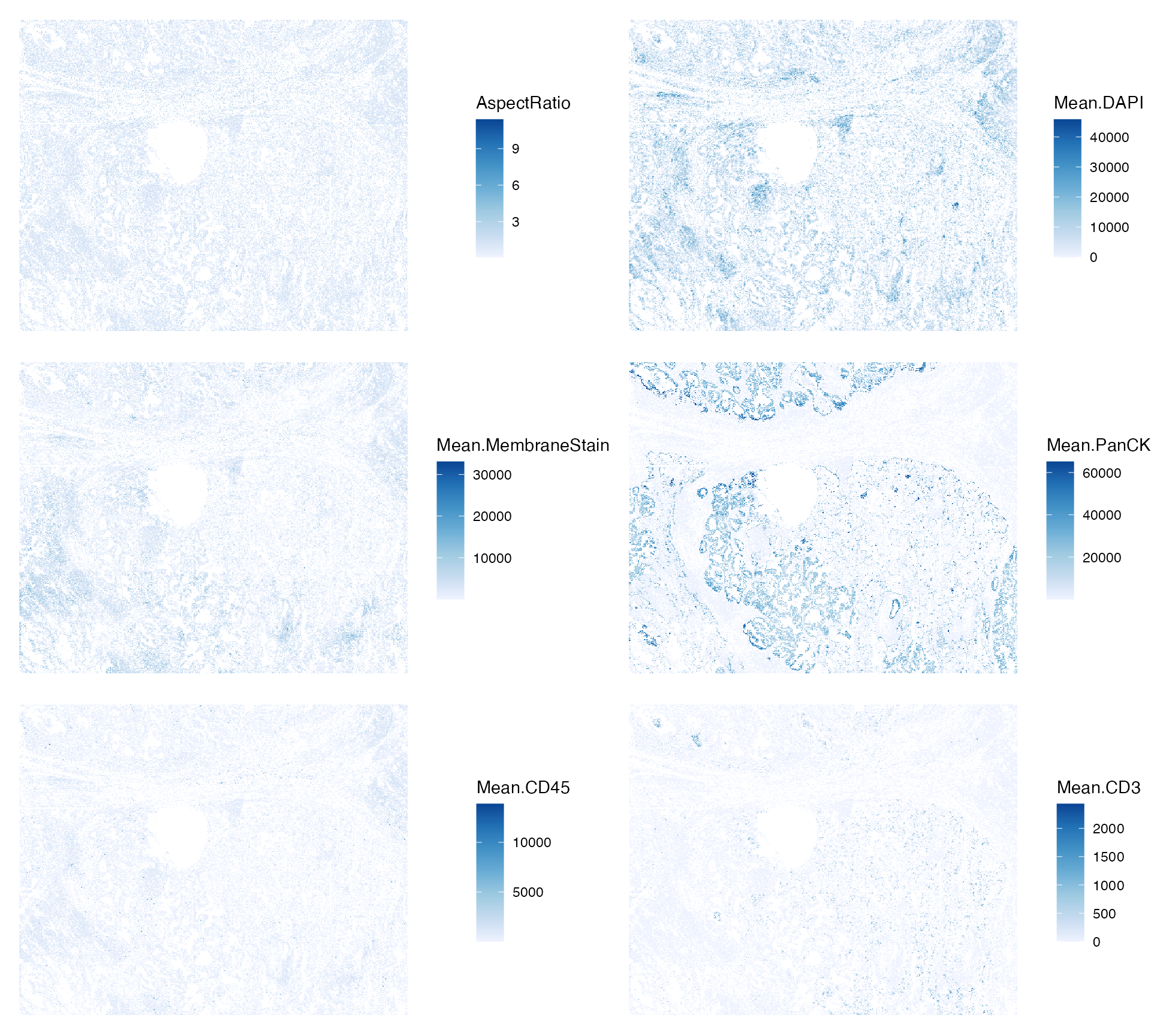 CosMX non-small cell lung cancer data • Voyager