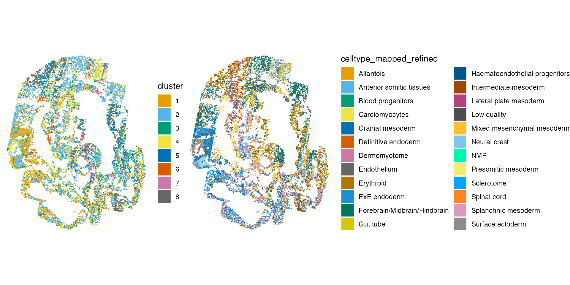 seqFISH exploratory data analysis • Voyager